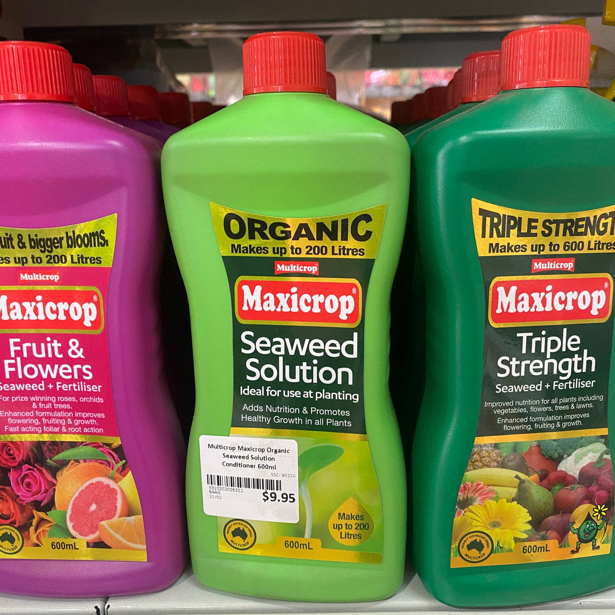 Multicrop Maxicrop Organic Seaweed Solution Conditioner 600ml – Bulleen ...