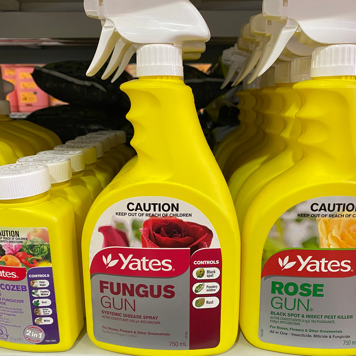 Yates Fungus Gun RTU 750 ml – Bulleen Art and Garden