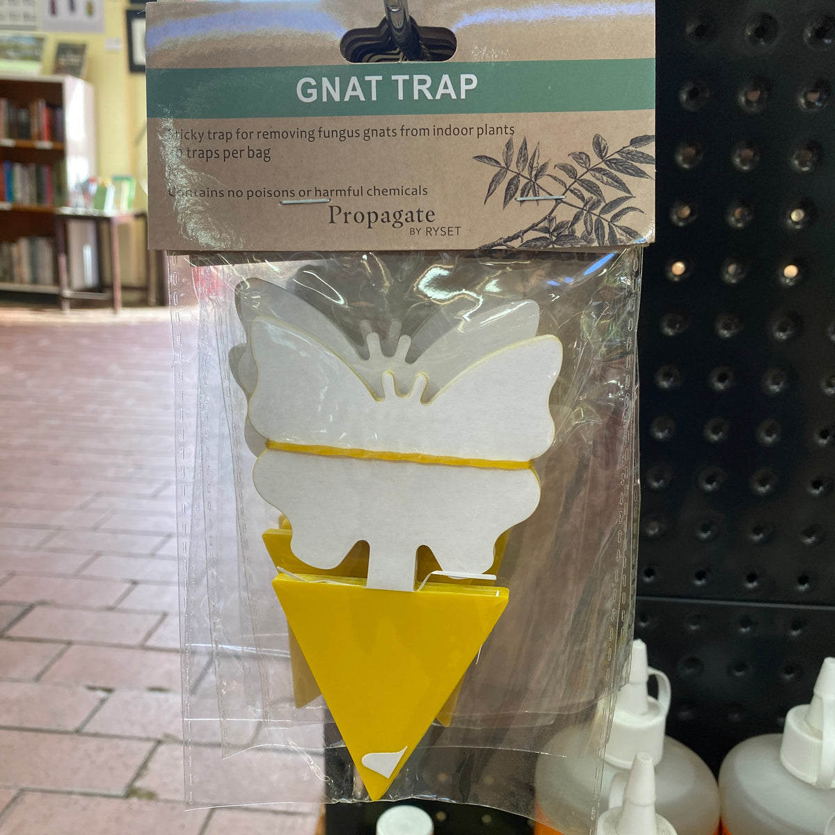 Sticky Gnat Traps (10 Pack) – Bulleen Art and Garden