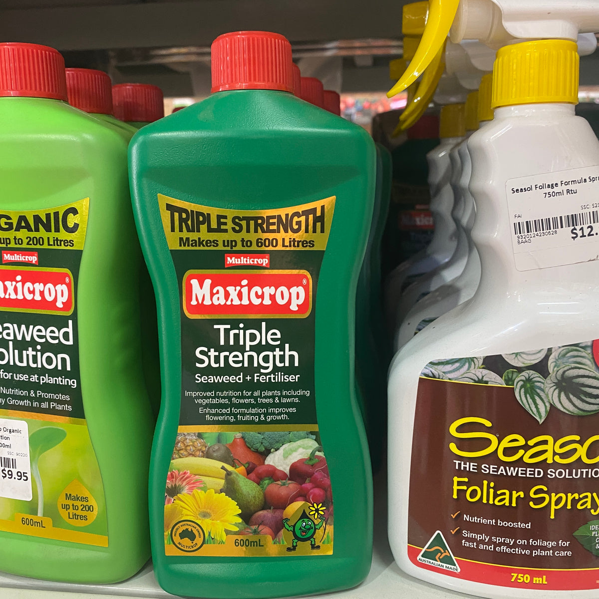 Maxicrop Triple Strength Seaweed Fertiliser 600ml – Bulleen Art and Garden
