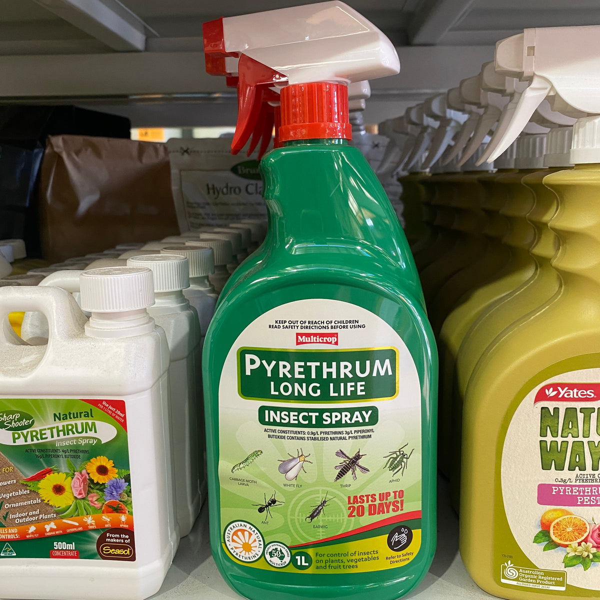 Multicrop Pyrethrum Long Life 1L – Bulleen Art and Garden