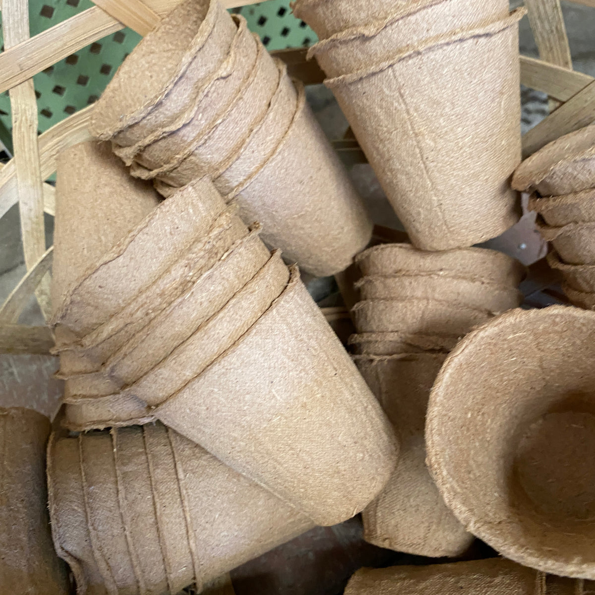 Bio pots 6cm Loose – Bulleen Art and Garden