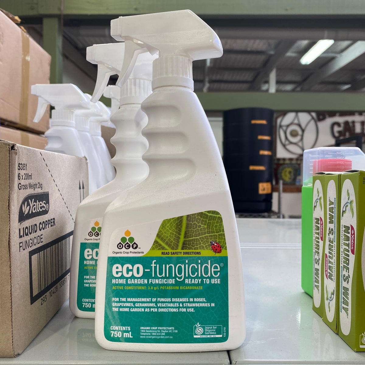 OCP ECO-fungicide (RTU) AO CERT 750 ml – Bulleen Art and Garden